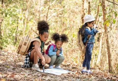 How To Plan a Field Trip: Logistics 101 - Student Travel Pro