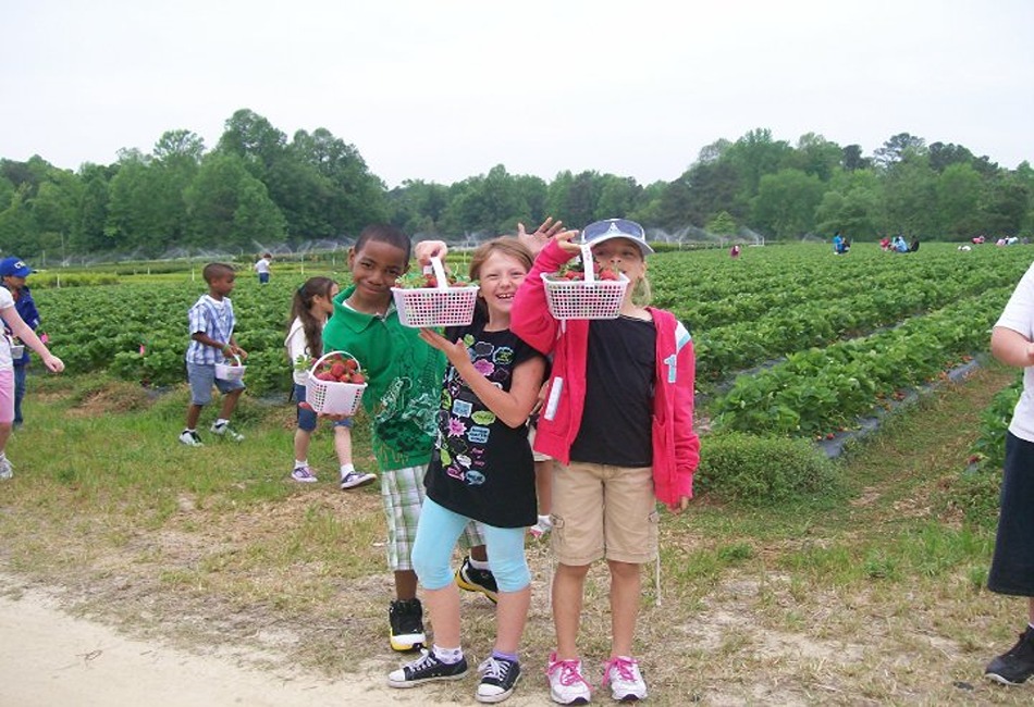 The Impact of Field Trips on Students - Student Travel Pro